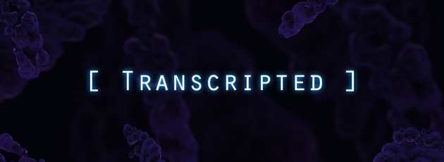 Transcripted puzzles y disparos en el navegador – Zona MMORPG