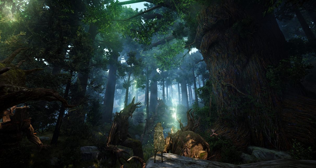 Black Desert Online está preparando su próxima expansión «Kamasylvia ...